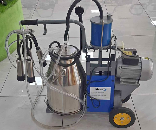 Home | Cow Milking Machines