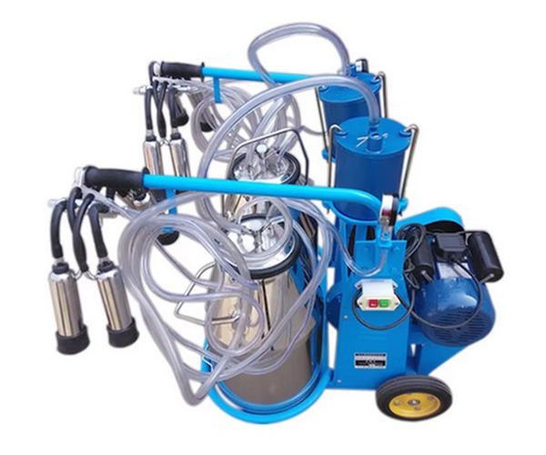 Home | Cow Milking Machines