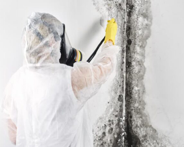Mold Remediation Pittsburgh